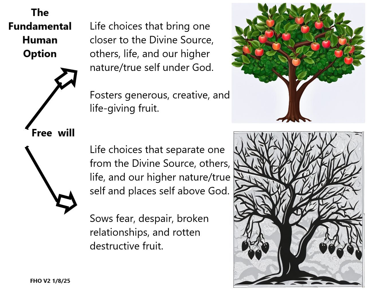 The Fundamental Human Option – Metamorphosis